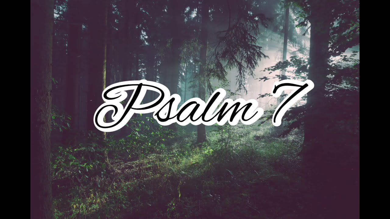 Psalm 7 - NLT Audiovisual