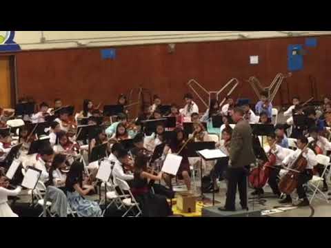 Anthony violin spring2018