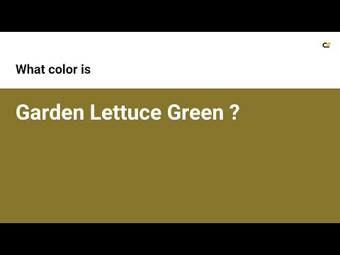 Garden Lettuce Green color #87762b hex color - Yellow color - Cool color 87762b