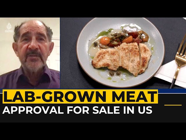 Is lab grown meat vegan? USDA greenlights productions of cell-based chicken