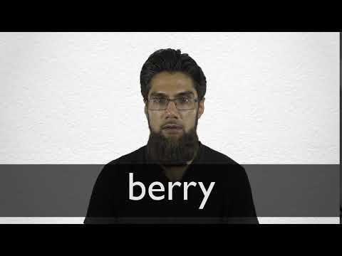 Traducción en español de “BERRY” | Collins Diccionario inglés-español