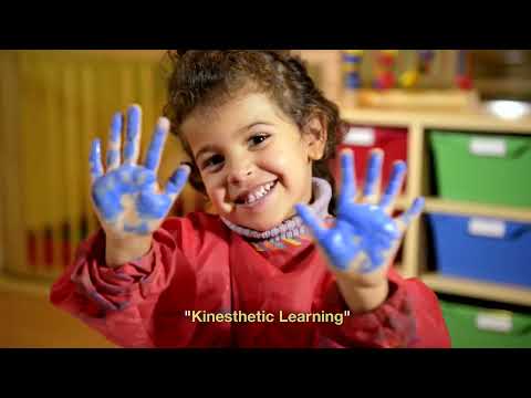 The Different Learning Styles in Children