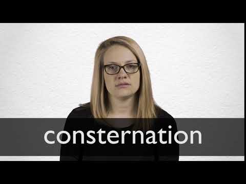 CONSTERNATION 释义 | 柯林斯英语词典