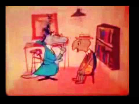 Mr. wizard