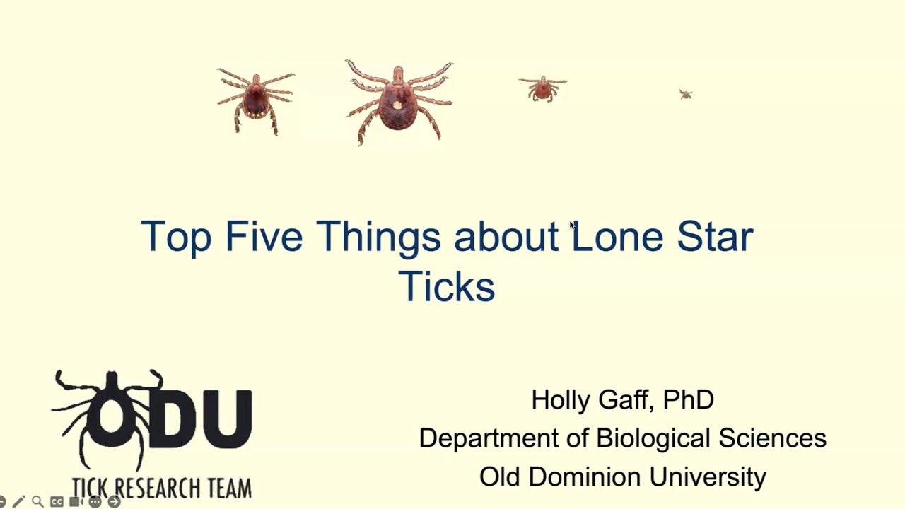 5 Facts about Lone Star Ticks from Tick Expert Holly Gaff