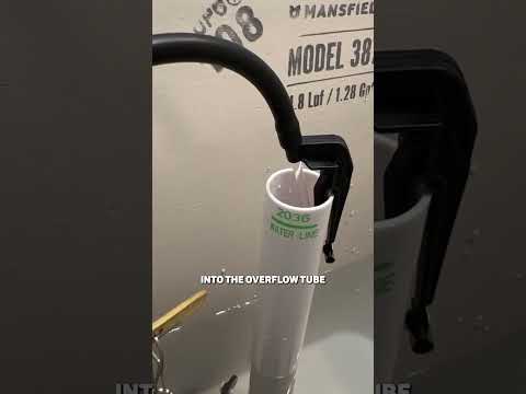 What Is In A Toilet Tank? 🤔