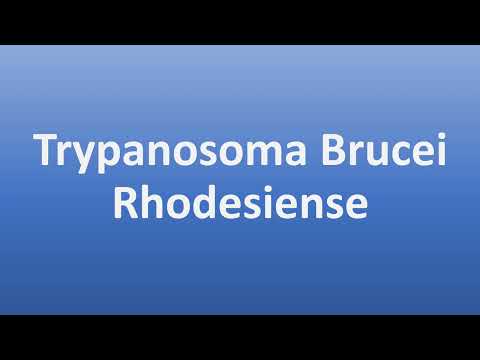 How to Pronounce Trypanosoma Brucei Rhodesiense