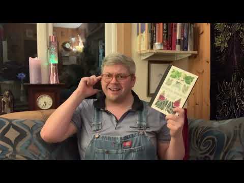 Another Agatha Christie Book Haul
