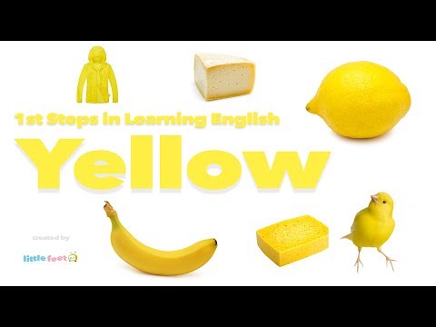 Learn 6 Yellow Objects in English With PICTURES | Vocabulary For Kids