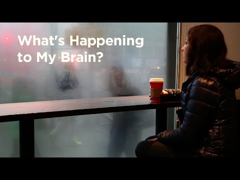 My Brain on Information Overload