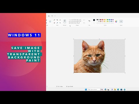 How to Save Image With Transparent Background Paint Windows 11