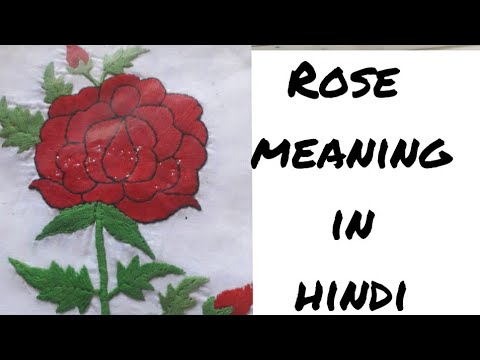 Rose meaning in hindi🌷🌹🌹🌹🌹🌹🌹