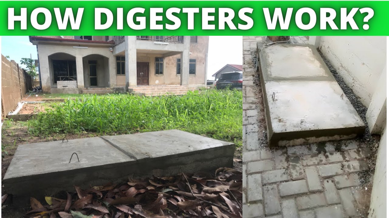 How Biodigesters Work And All You Need To Know Update