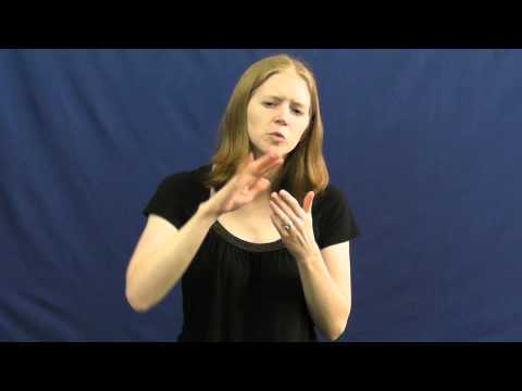 American Sign Language ASL Video Dictionary - mostly