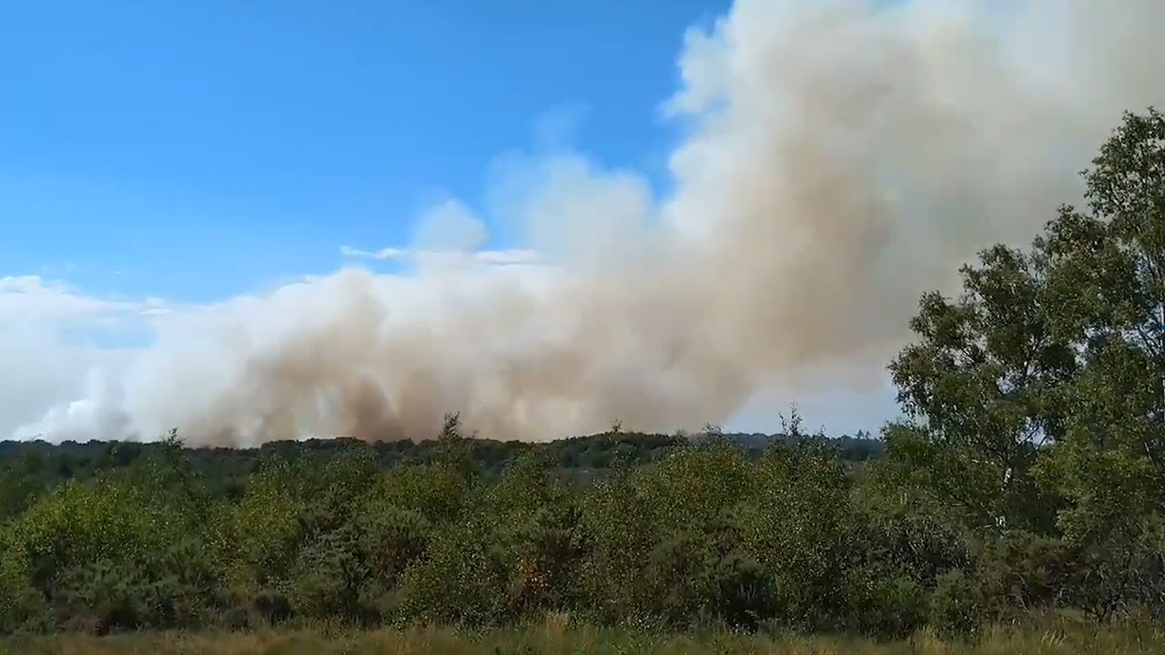 Eight fire engines battling wildfire at Chobham Common