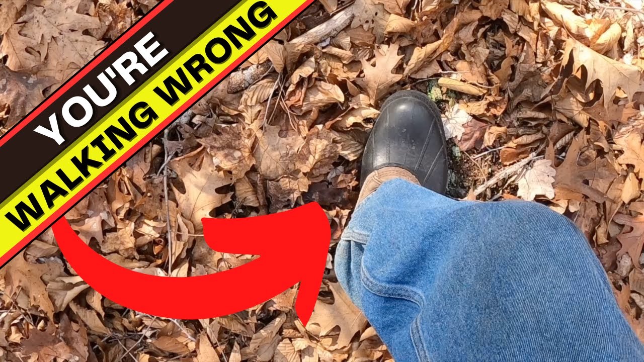 3 Ways to Walk in the Woods WITHOUT Being Detected by Animals