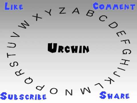 How to Say or Pronounce Urchin