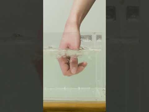 The Cold Pressor Test with Lt Sensors #makingscienceeasier #scienceeducation #coldpressor