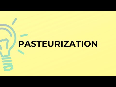What is the meaning of the word PASTEURIZATION?