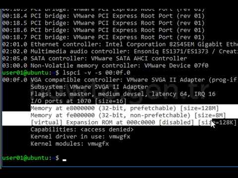 Linux Detect Video Display Card Details Using Lspci/Lshw Command Line
