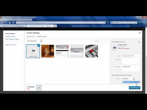 How to Upload & Download a PDF Into WordPress : WordPress: Beyond the Basics