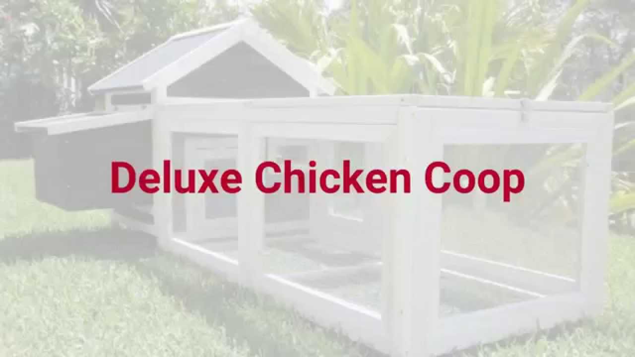 Somerzby - Deluxe Cottage Chicken Coop