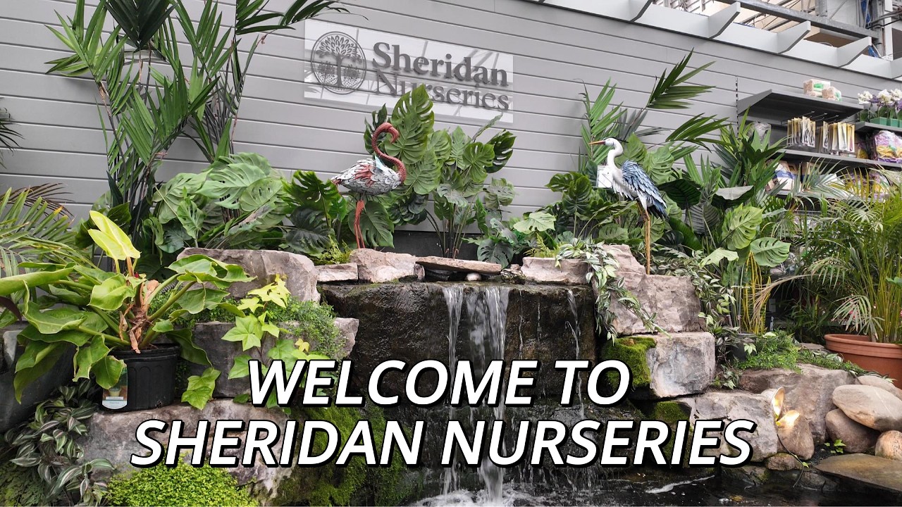 Sheridan Nurseries Walkthrough – Everything You Need to See
