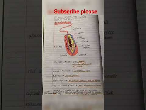 Prokaryotic cells biology and physiology