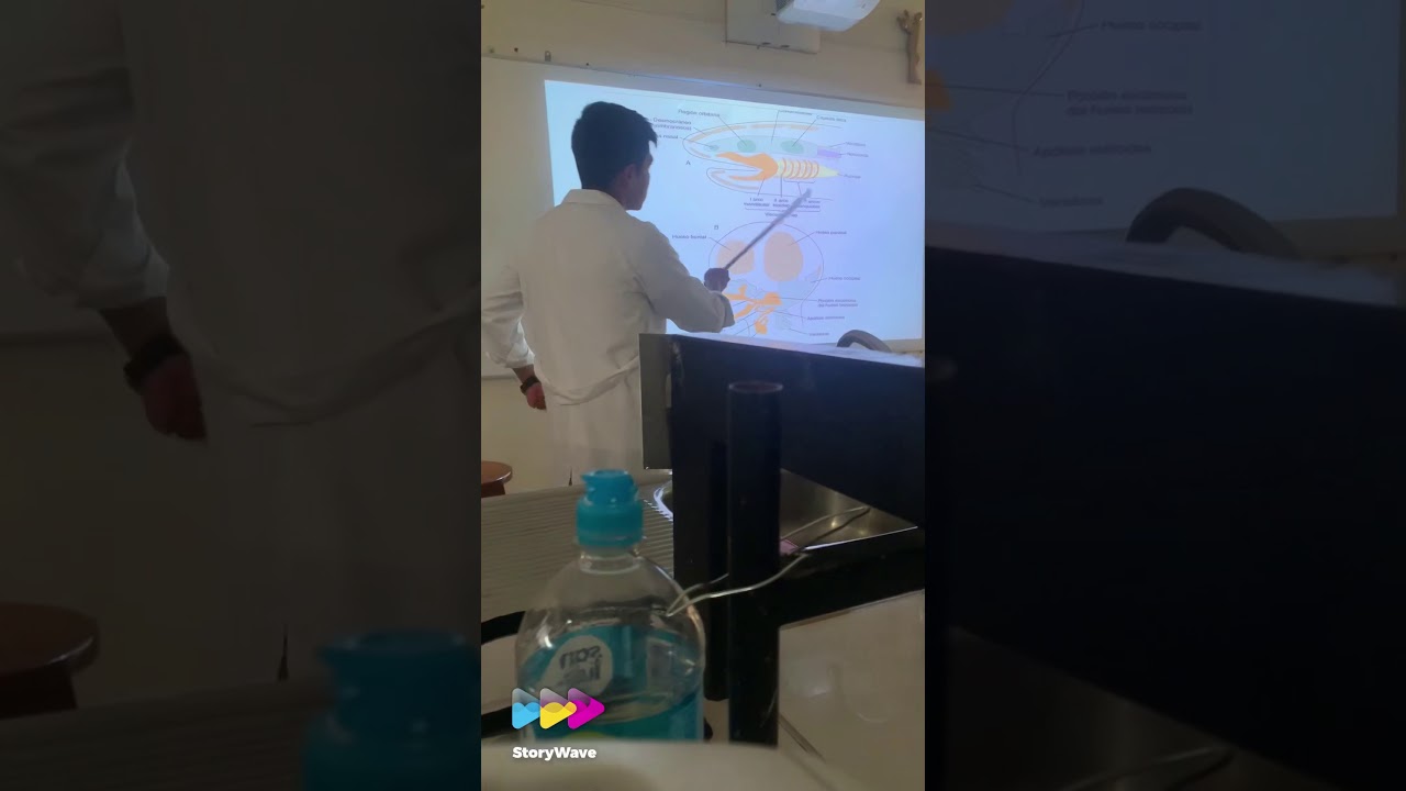 Embriología Práctica 2 (1/2)