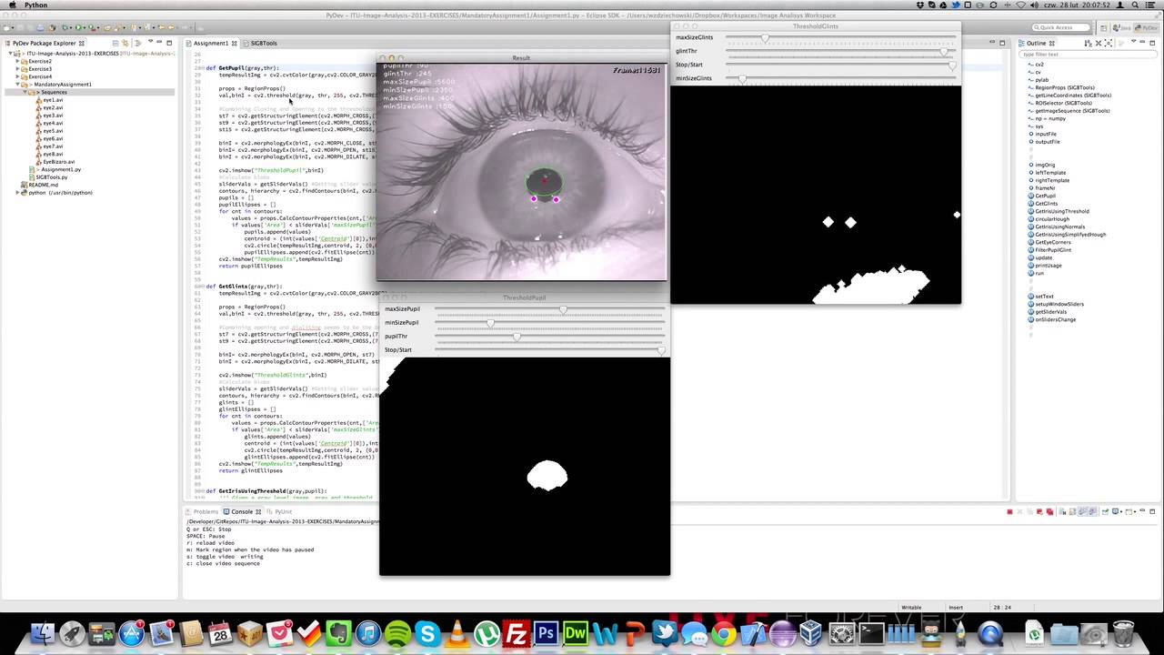 Basic Pupil & Glint Detection (Python & OpenCV)