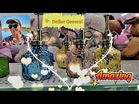 Dollar General walk through. Which one is better? DT or DG