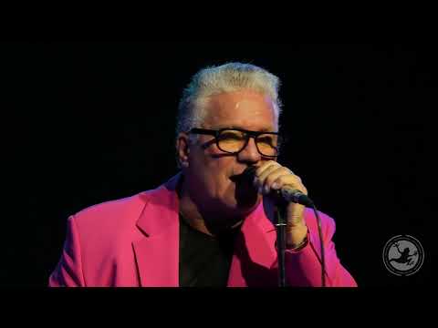Videos | The Mojo Stars