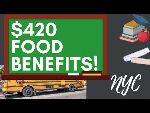 NYC $420 Food Stamp Benefits For Everyone: Yes even you!