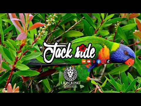 WEJDENE x DJ JACKSIDE x DJ YELS - Anissa ( ZOUKMIX ) 2K20