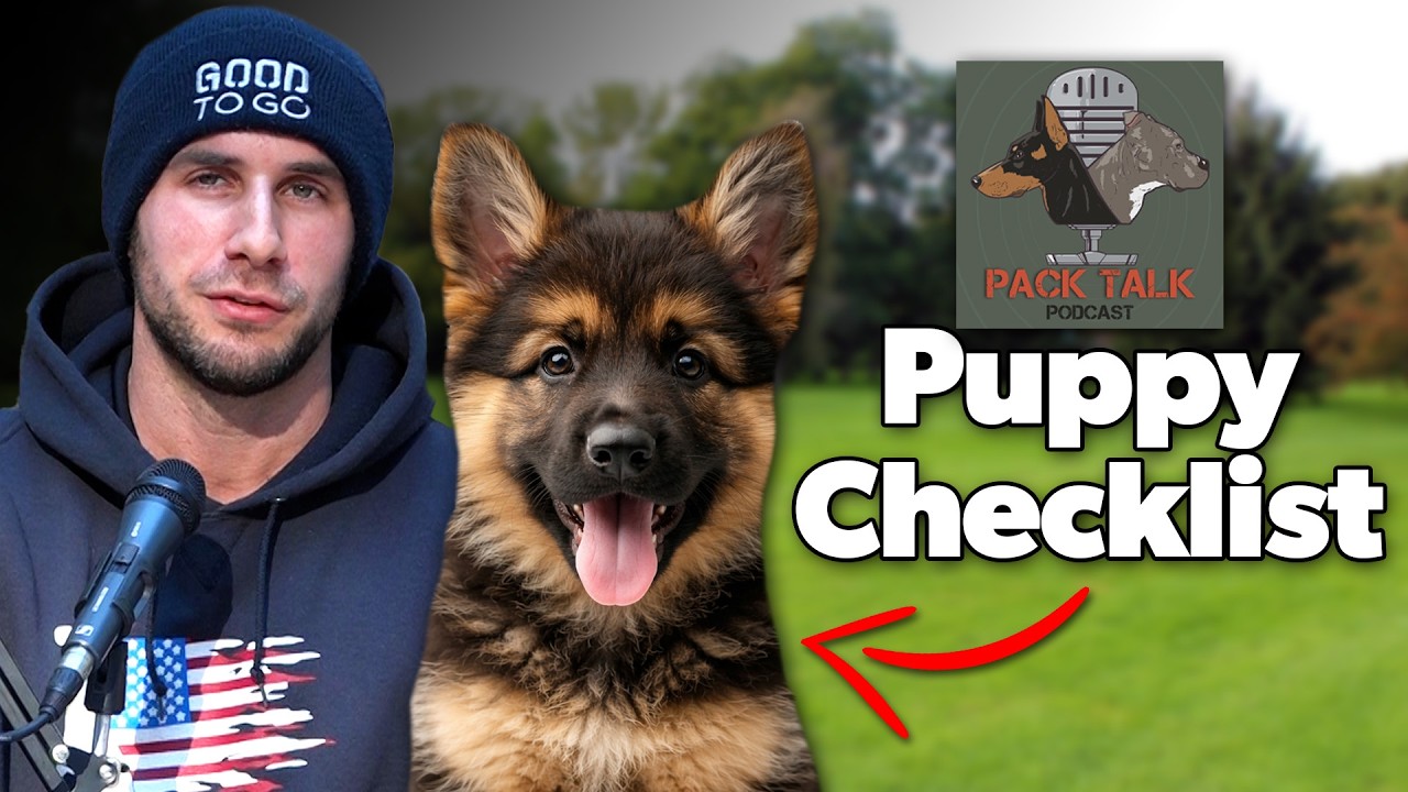 New Puppy Checklist: Everything You Need Before Bringing Your Puppy Home