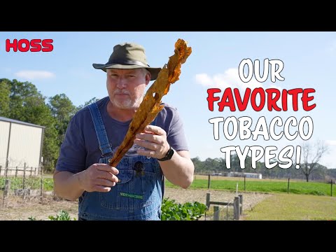 Growing Something New - Tobacco