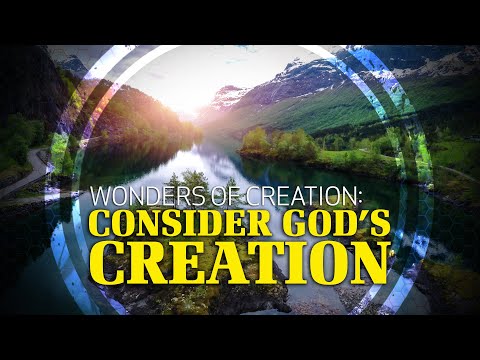 Wonders of Creation: Consider God's Creation