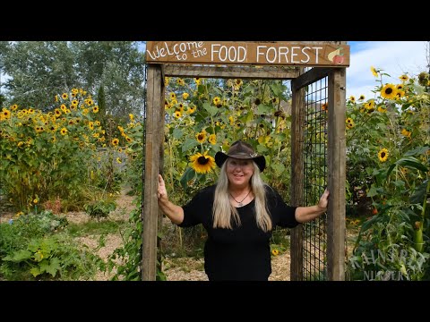 Raintree Nursery Visits Puget Ridge Edible Park!
