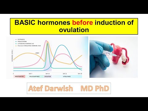 BASIC hormones before induction of ovulation