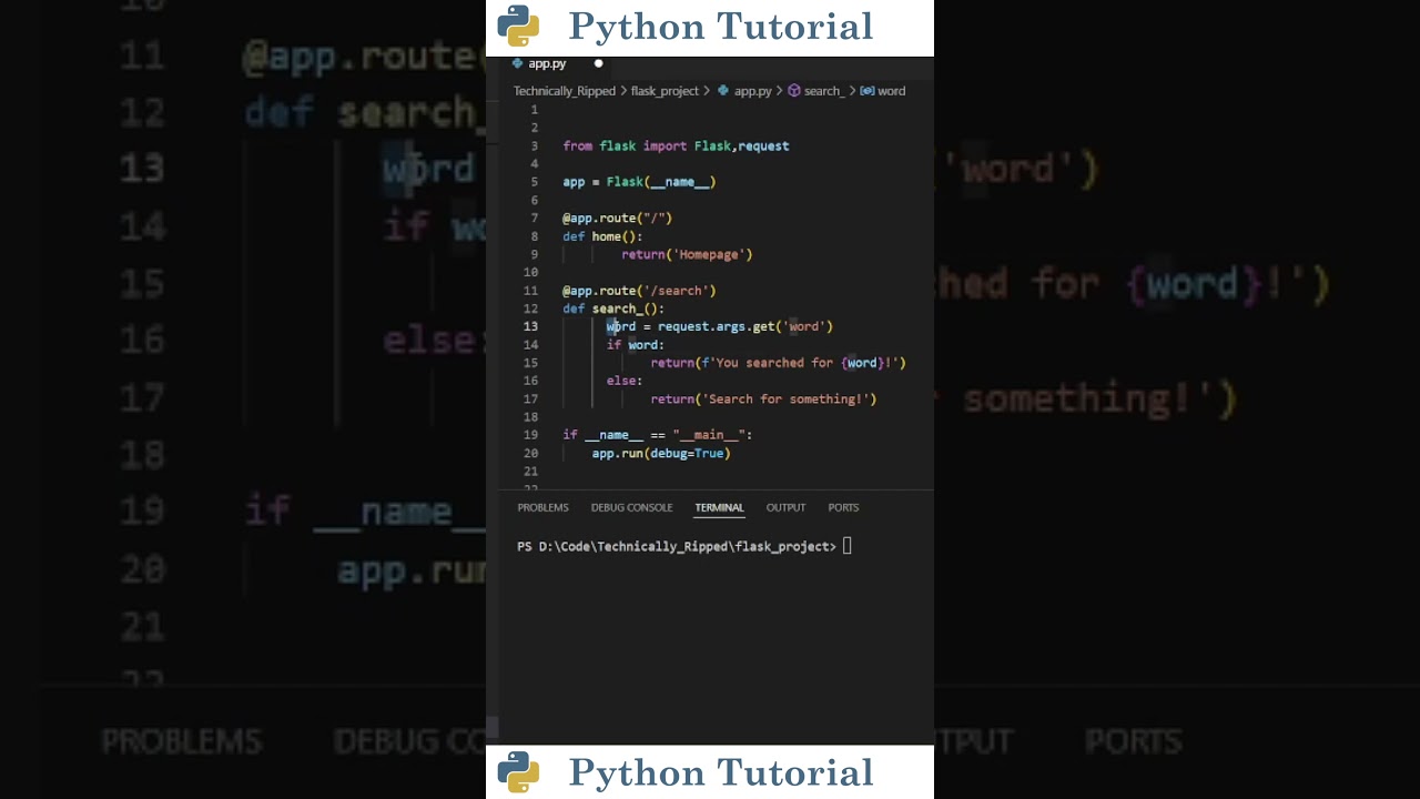 Flask Query Variables Explained | Python Tutorial