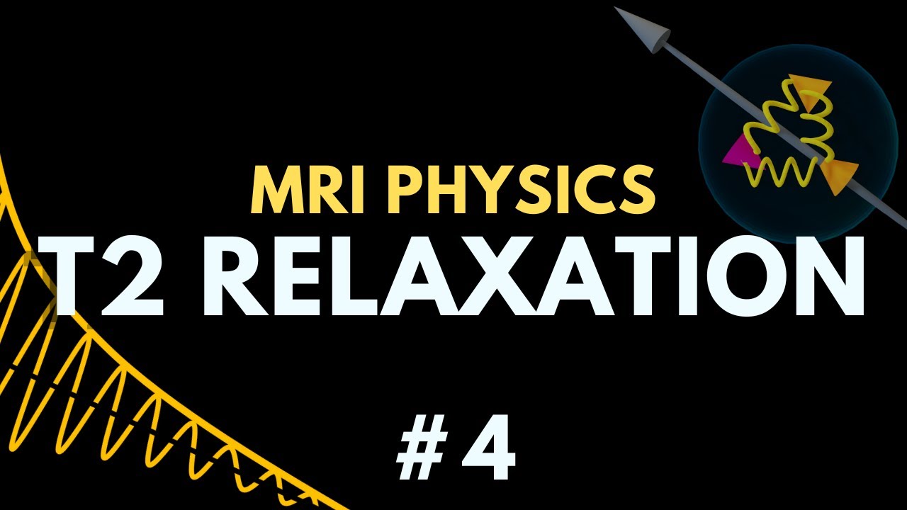 Understanding T2 Relaxation and Transverse Decay in MRI Physics | Galaxy.ai