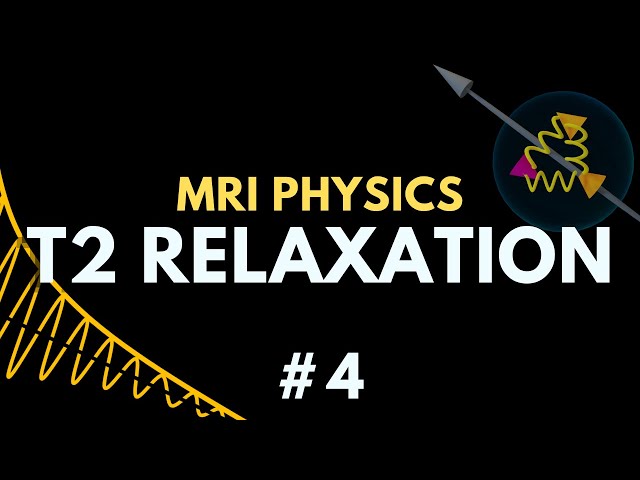 Understanding T2 Relaxation and Transverse Decay in MRI Physics | Galaxy