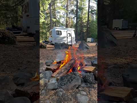 Scamp Trailer Mount Rainier. #scamp #mtrainier #alternativeliving #rvlife #rvliving #rvtravel #rv