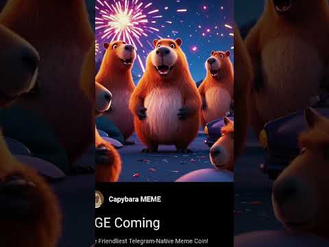 Airdrop CAPYBARA MEME