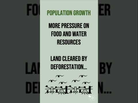 Causes of Desertification | 60 Second Geography on Hot Deserts