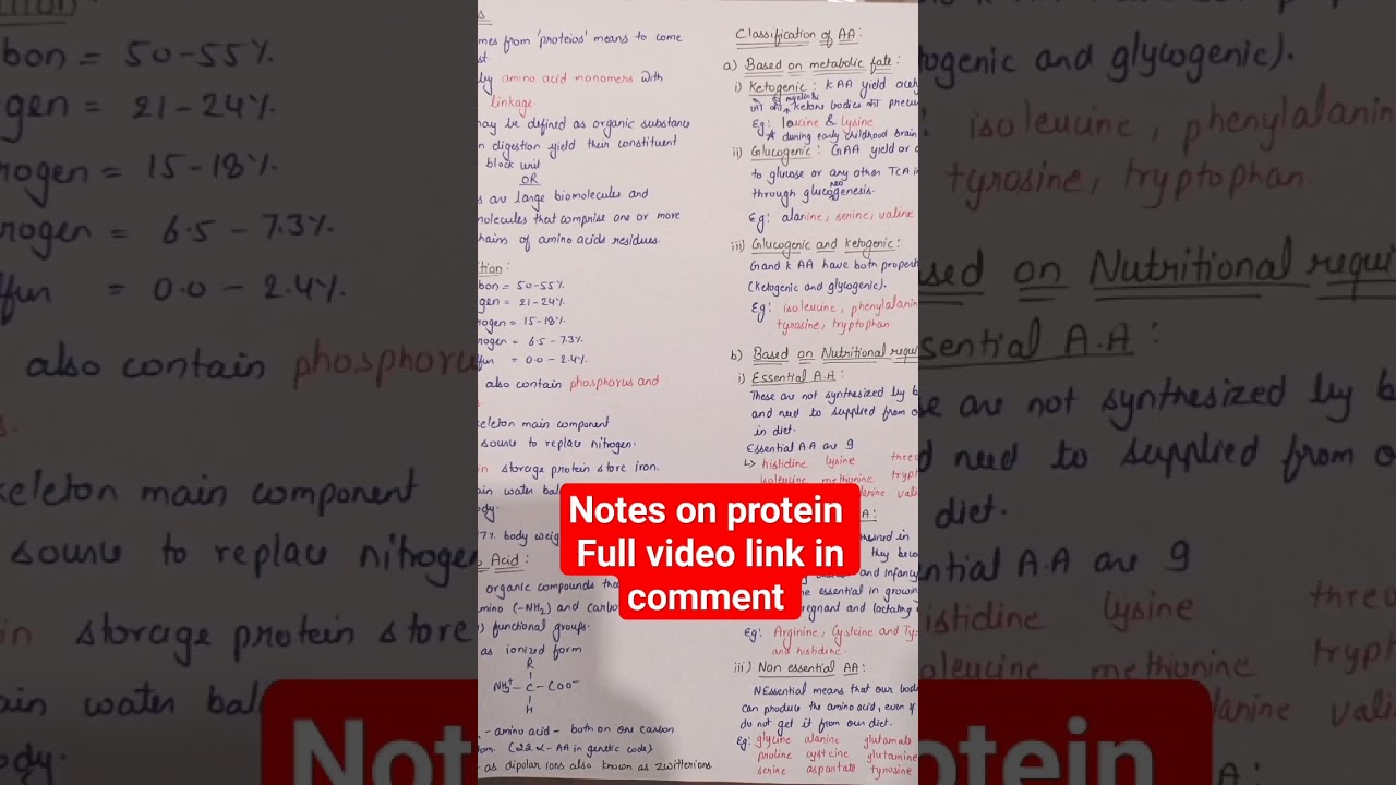 notes on protein #bscnursing #biochemistry @silentheart5412
