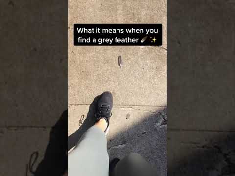What it means when you find a Grey Feather | Spiritual Meaning 🪶✨#shorts