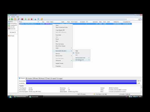 Torrent Seeding