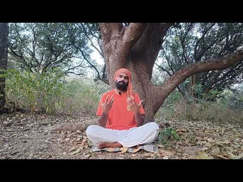 The difference between yoga and other exercises. #yoga #exercise #asana #yogapostures