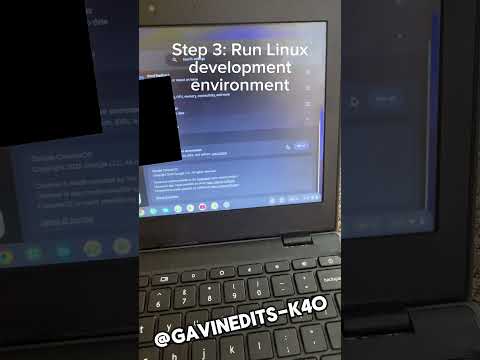 How to run Linux apps on a Chromebook! 🤯